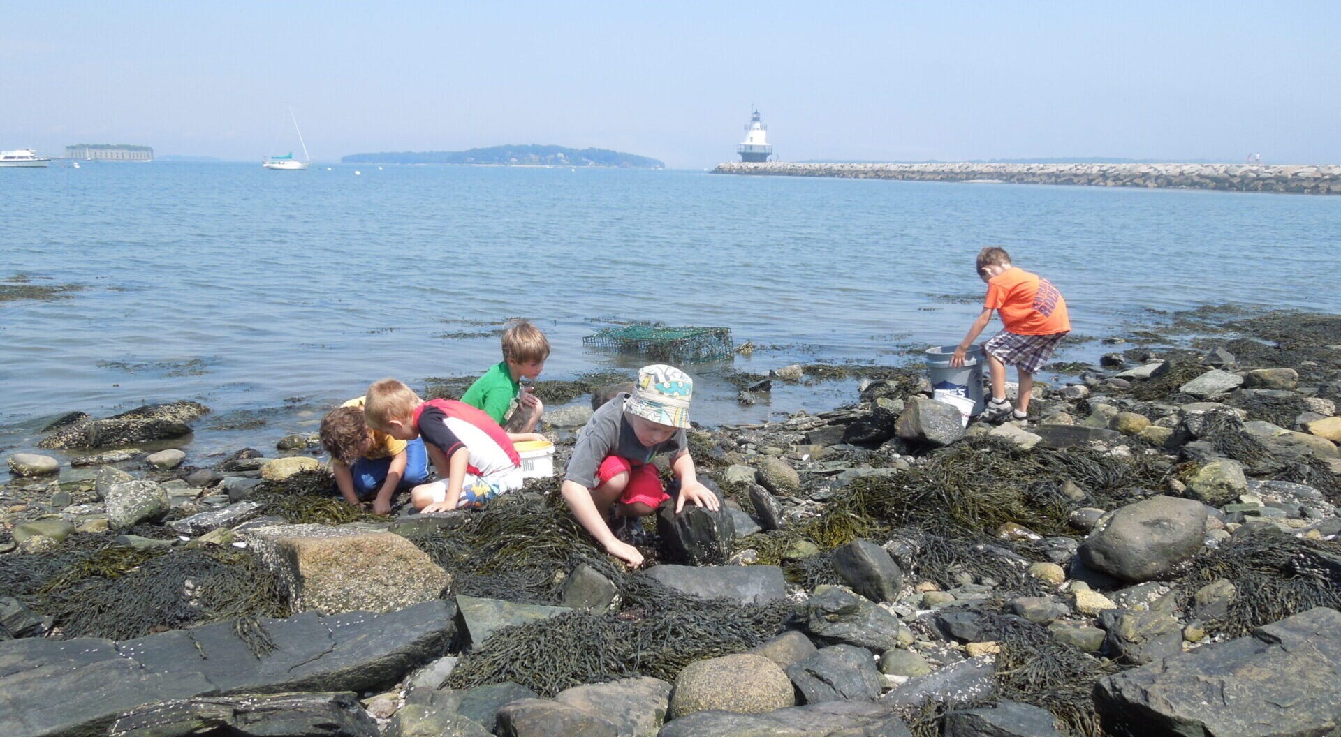 Mr. & Mrs. Fish – Mr. & Mrs. Fish